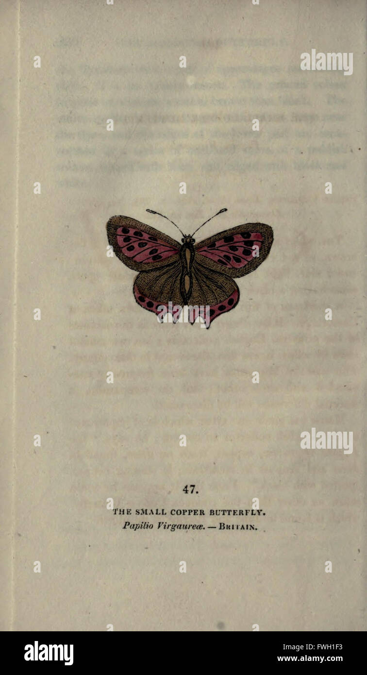 A detailed reference work featuring illustrations and descriptions of ...