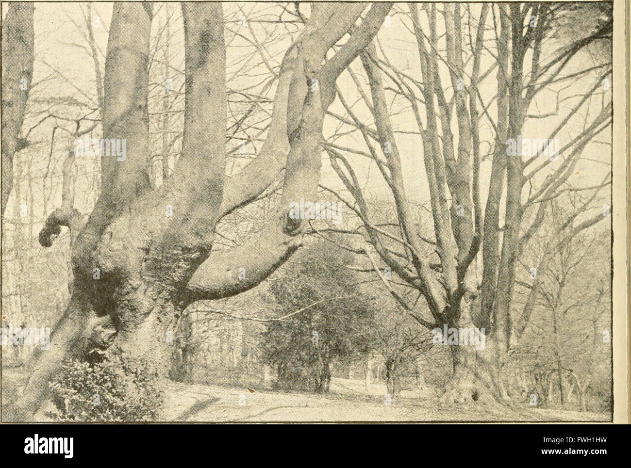 An extensive guide to photography, covering practical techniques ...