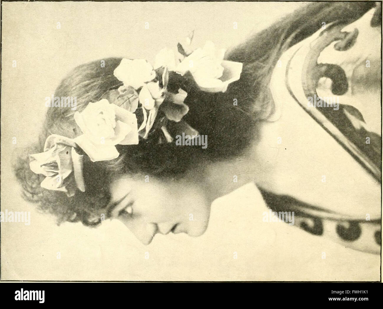 The book of photography; practical, theoretical and applied (1905 Stock ...