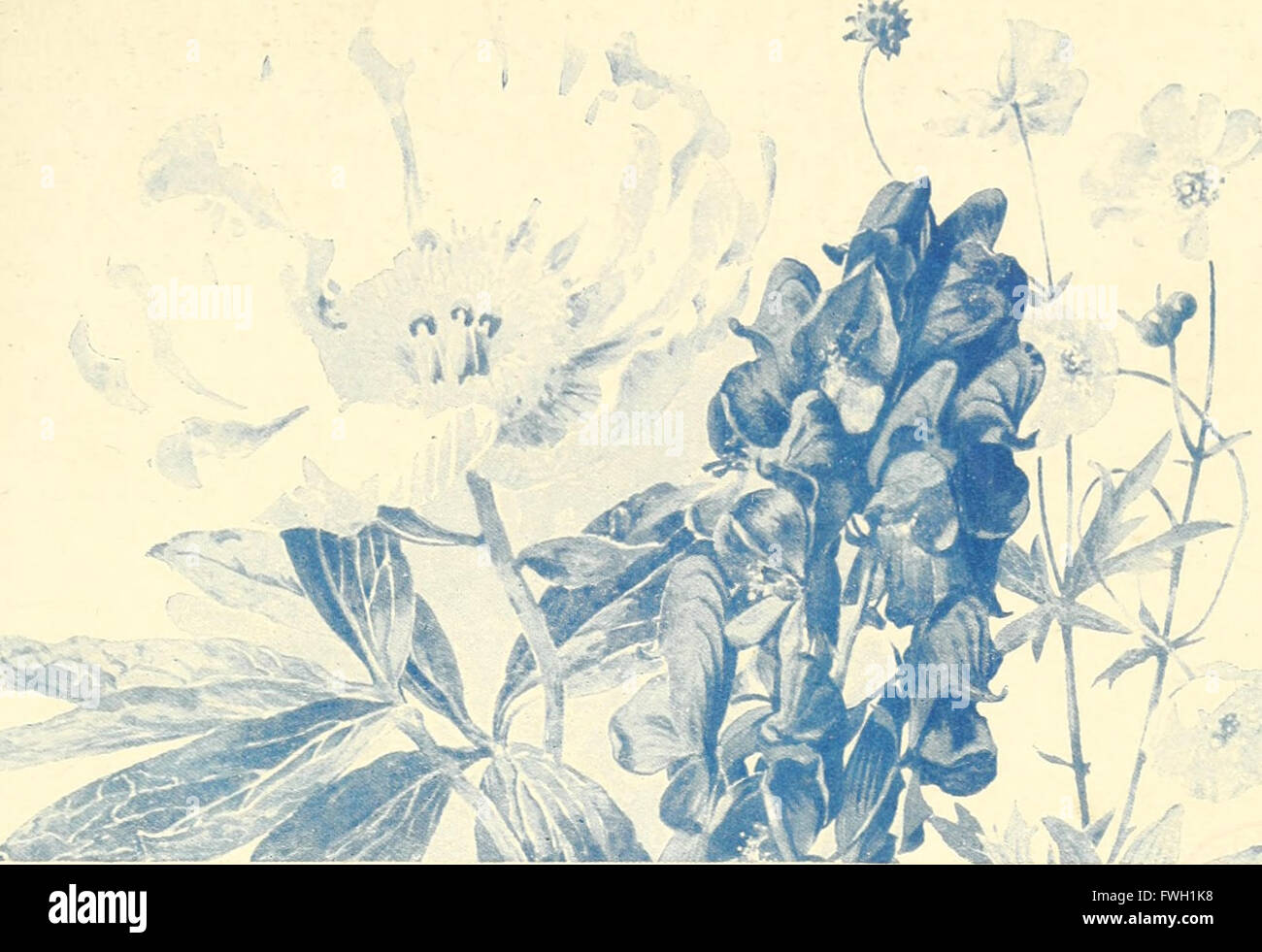 This 1905 book on photography offers both practical and theoretical ...