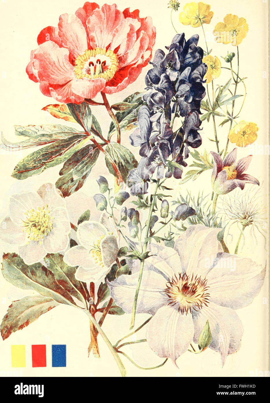 This 1905 book covers the practical, theoretical, and applied aspects ...