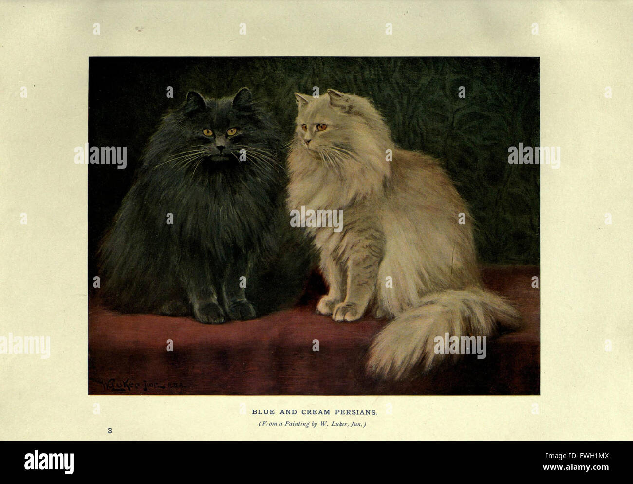 'The Book of the Cat' is a series of illustrations and descriptions ...