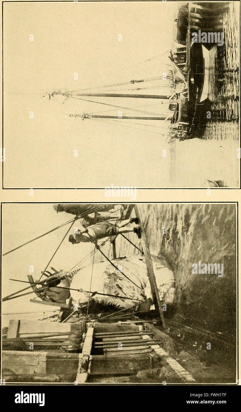 This book offers a comprehensive look into the world of whaling ...