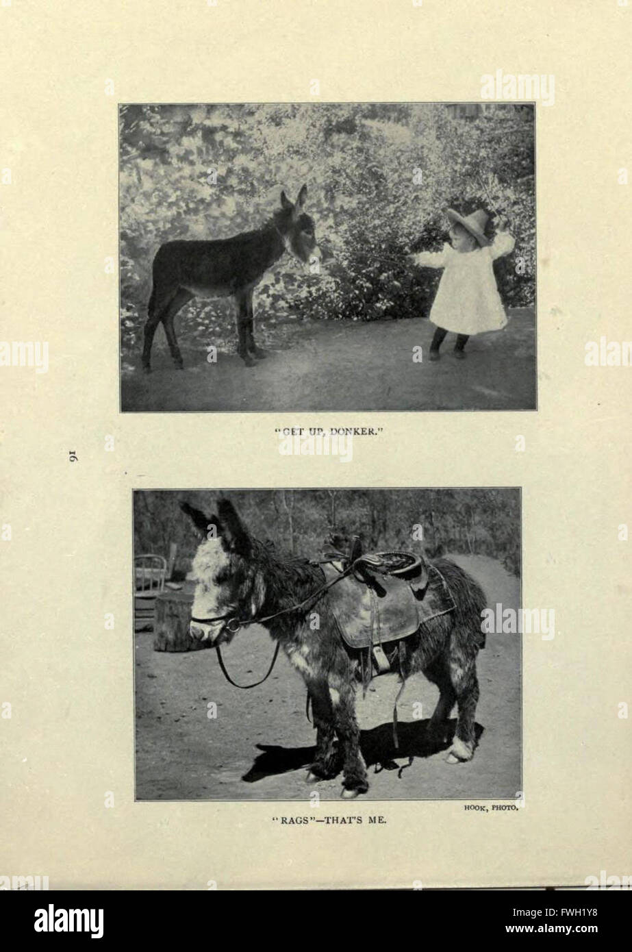 The Burro book (Page 16 Stock Photo - Alamy