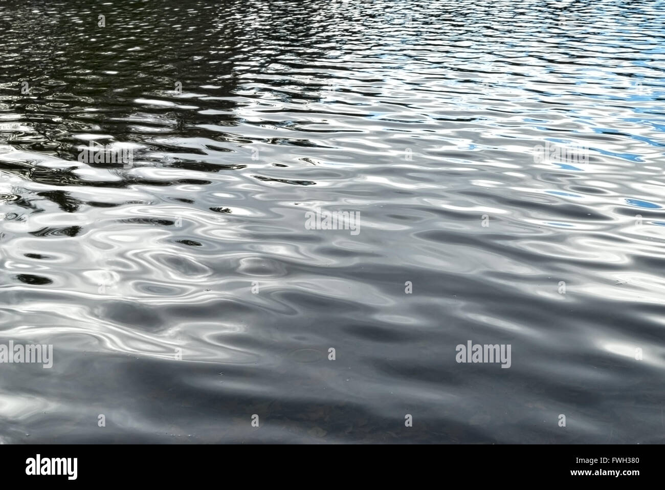 The surface of a pond with rippling gentle waves and reflections of ...