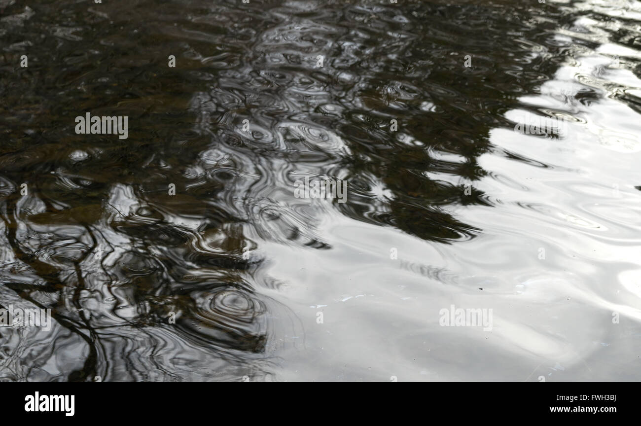 The surface of a pond with rippling gentle waves and reflections of ...