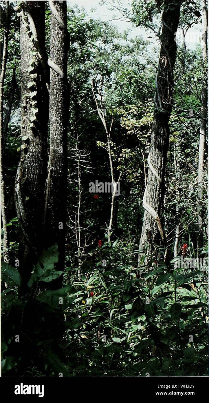 The Conservation Atlas of Tropical Forests for Asia and the Pacific ...
