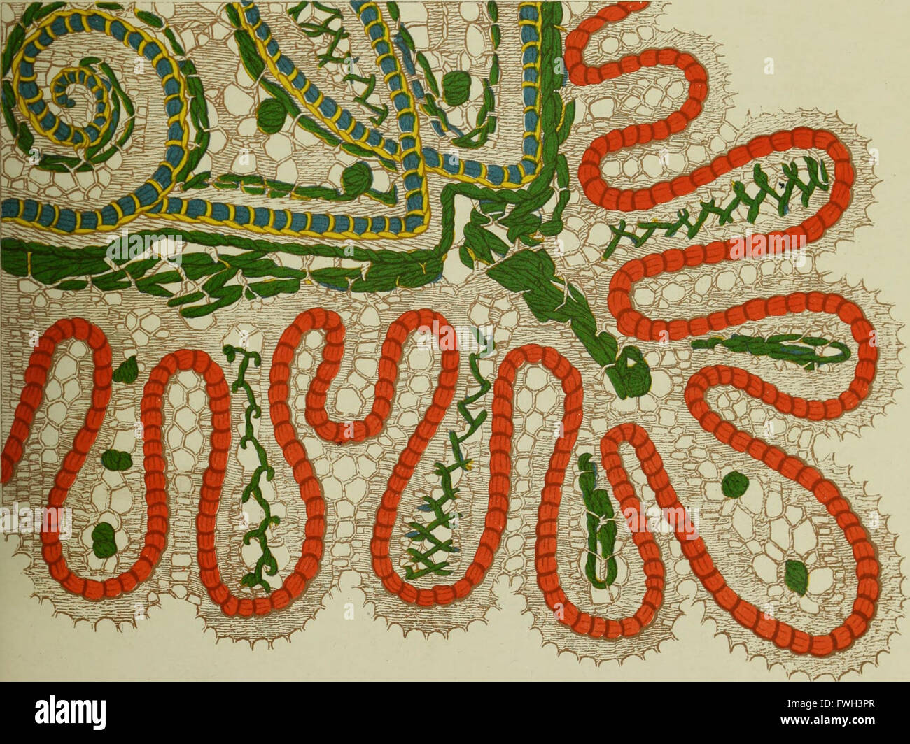 'The Dictionary of Needlework' is a comprehensive guide to artistic ...