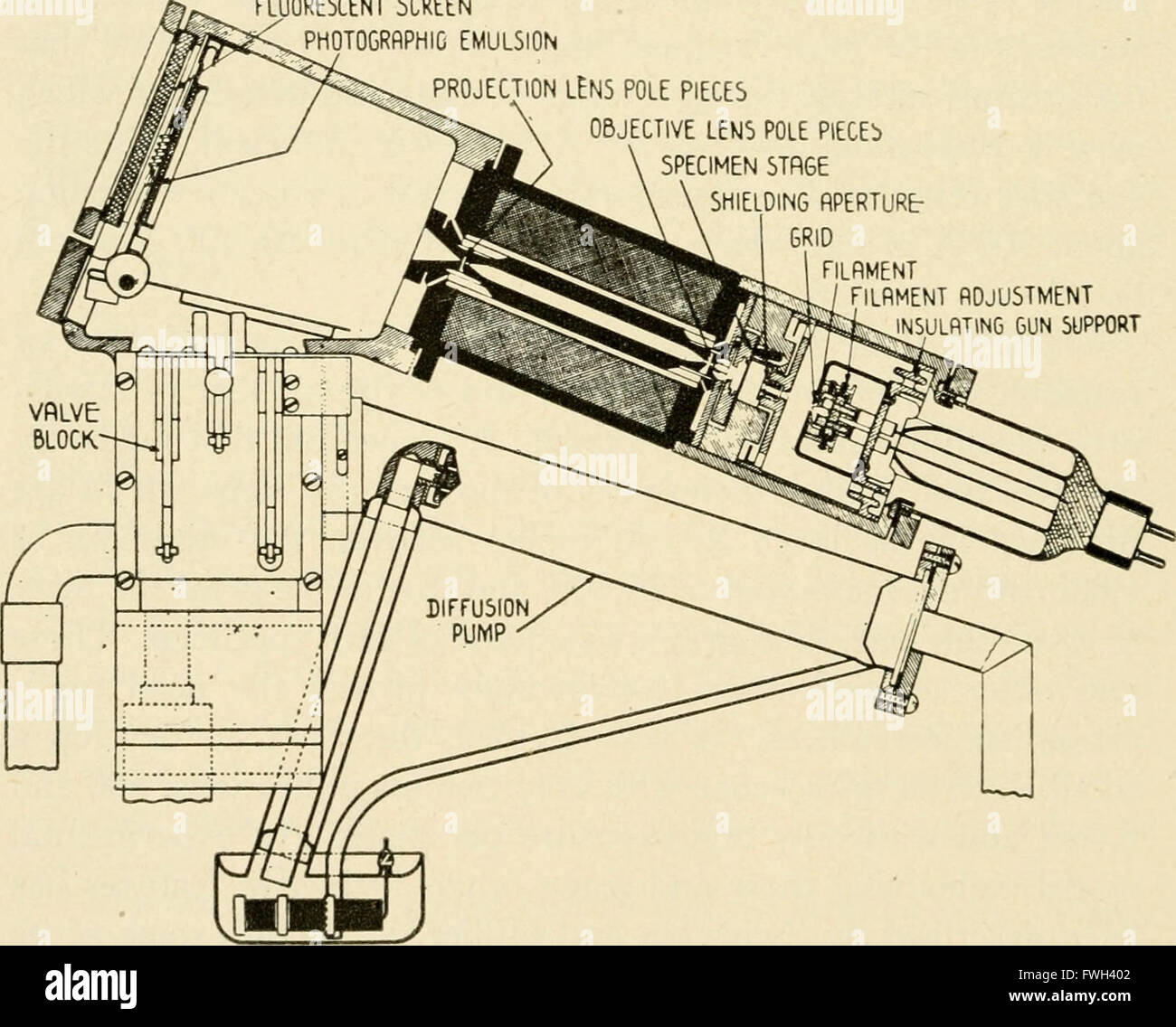 Electron microscope drawing hi-res stock photography and images - Alamy