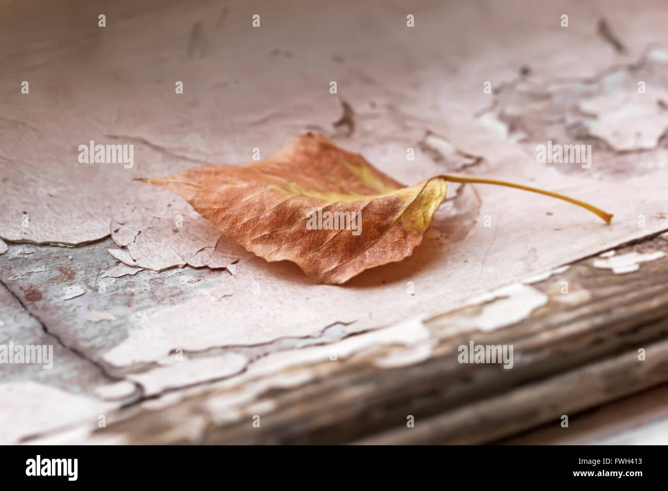 Working on go never hi-res stock photography and images - Alamy