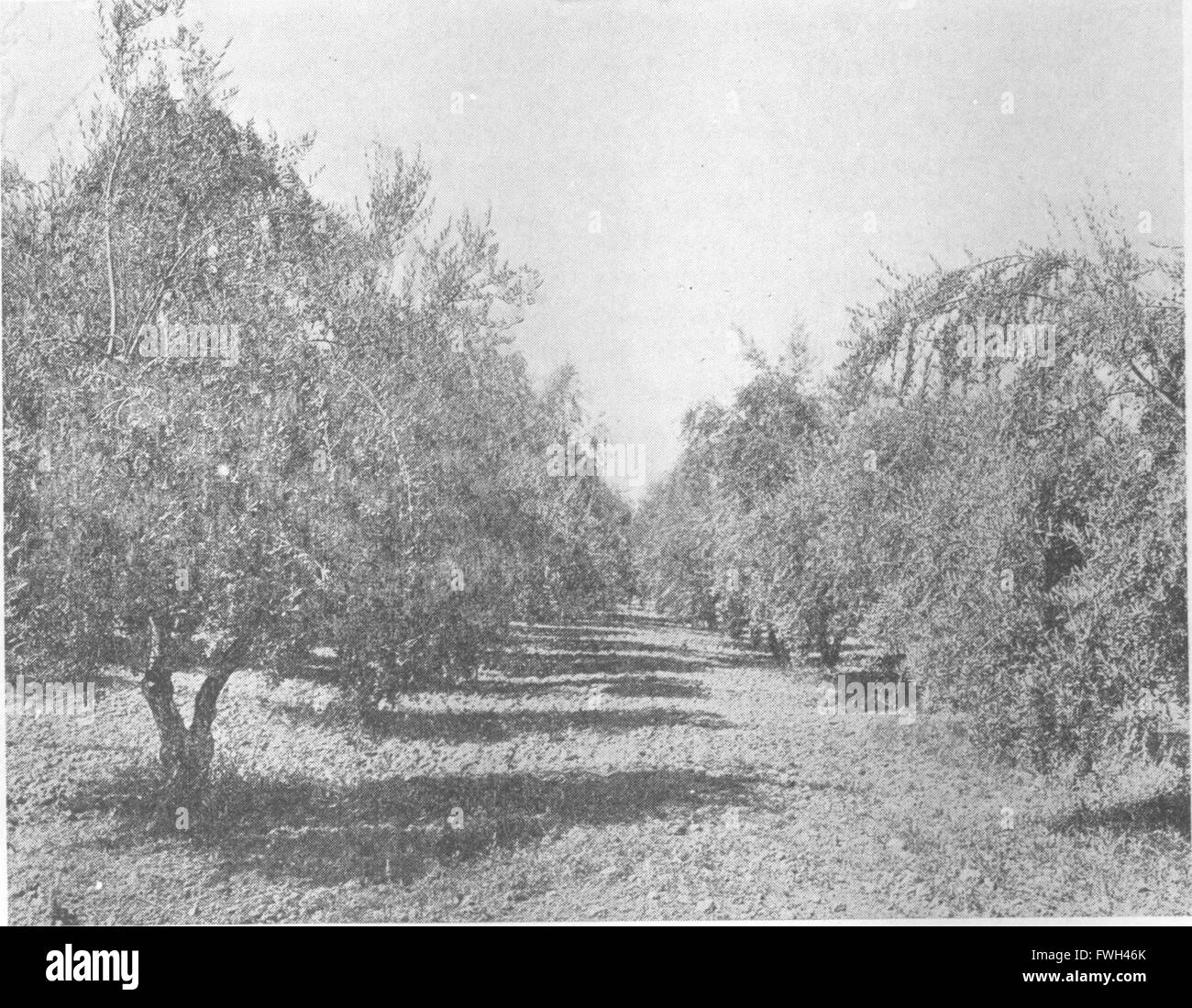 Practical phases hi-res stock photography and images - Alamy