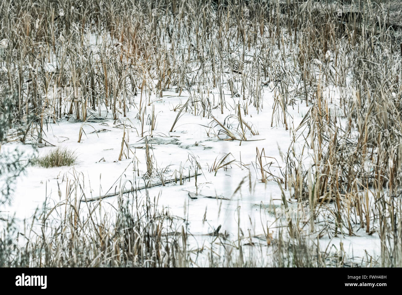 Winter caption hi-res stock photography and images - Alamy