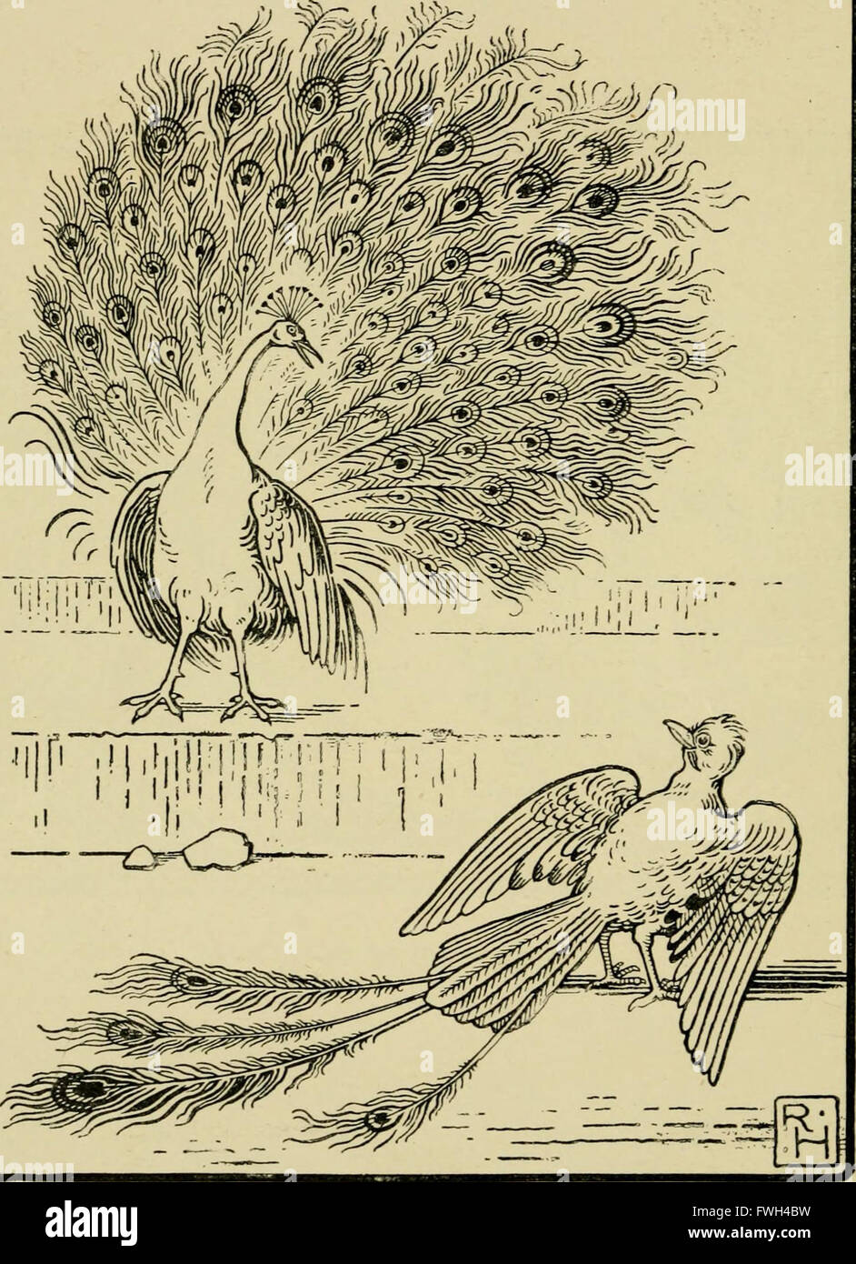 This 1894 edition of Aesop's Fables presents a collection of moral ...