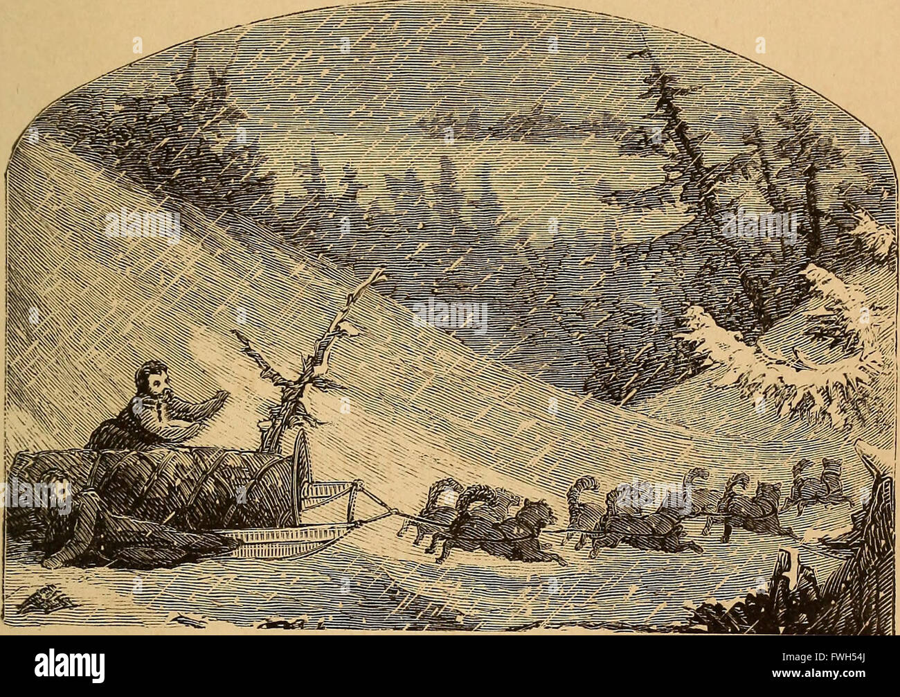 This 1874 book documents Arctic exploration over a millennium ...