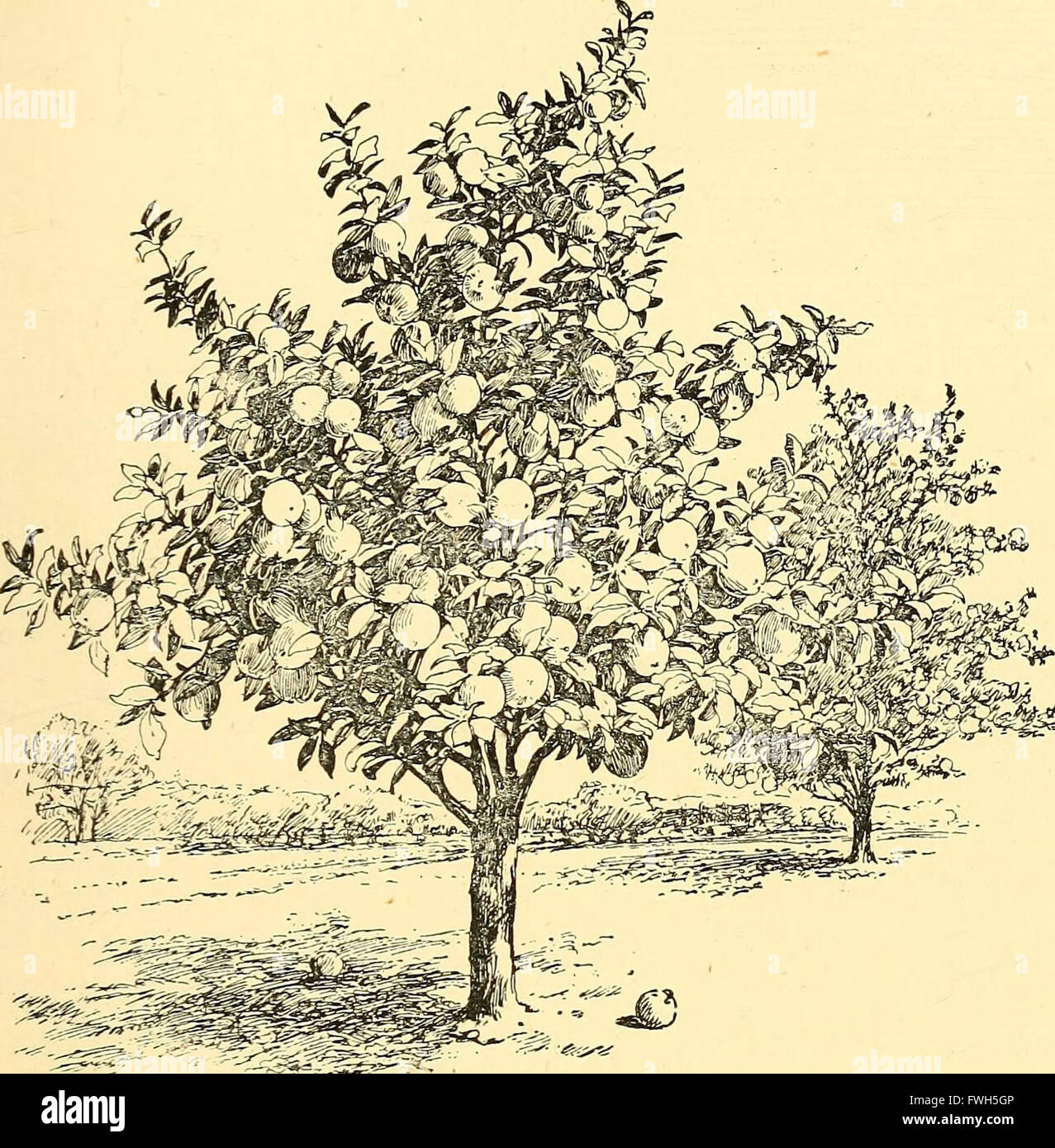 This guide provides practical and scientific knowledge on gardening ...