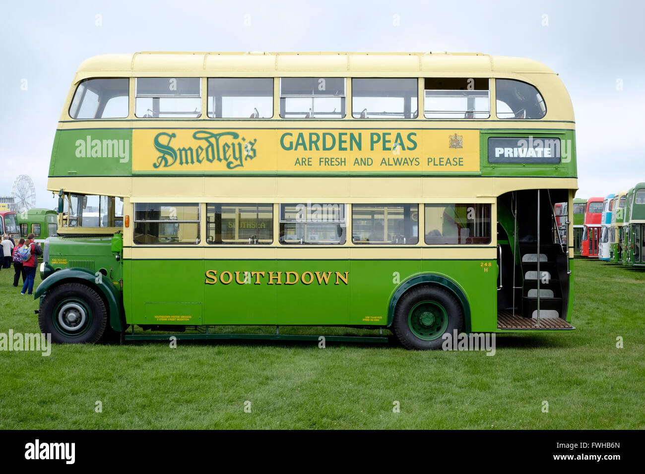 a line up of vehicles at a show of classic vintage buses southsea ...