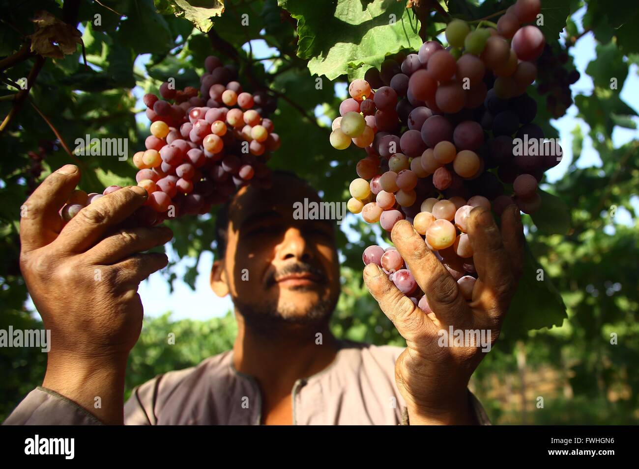 Monofiya hi-res stock photography and images - Alamy