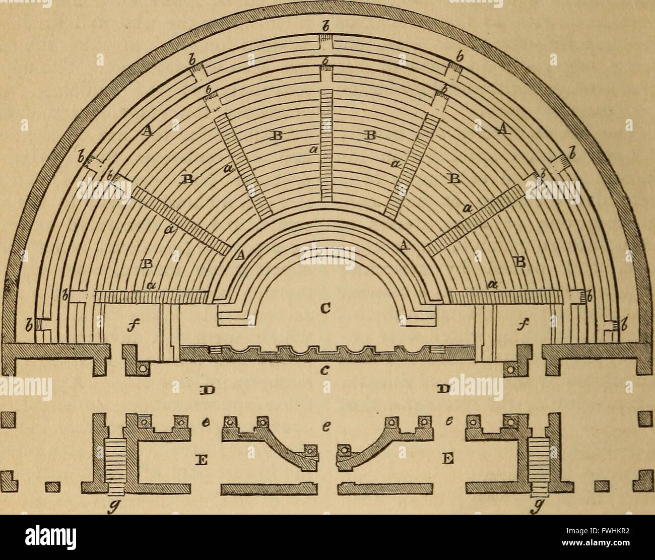 'The Illustrated Companion to the Latin Dictionary and Greek Lexicon ...