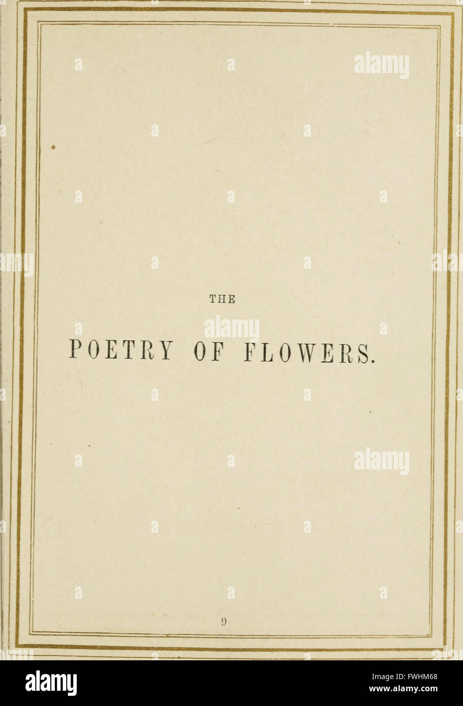 The Language of flowers - an alphabet of floral emblems (1857 Stock ...