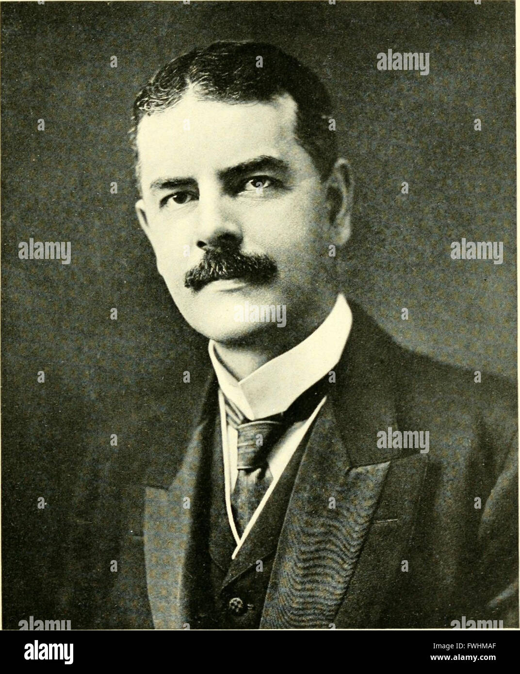 Genealogical work from 1917 detailing the Linzee family lineage and its ...