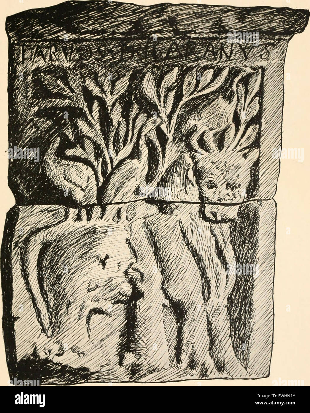 *The Mythology of all races* (1918) is an extensive compilation of ...