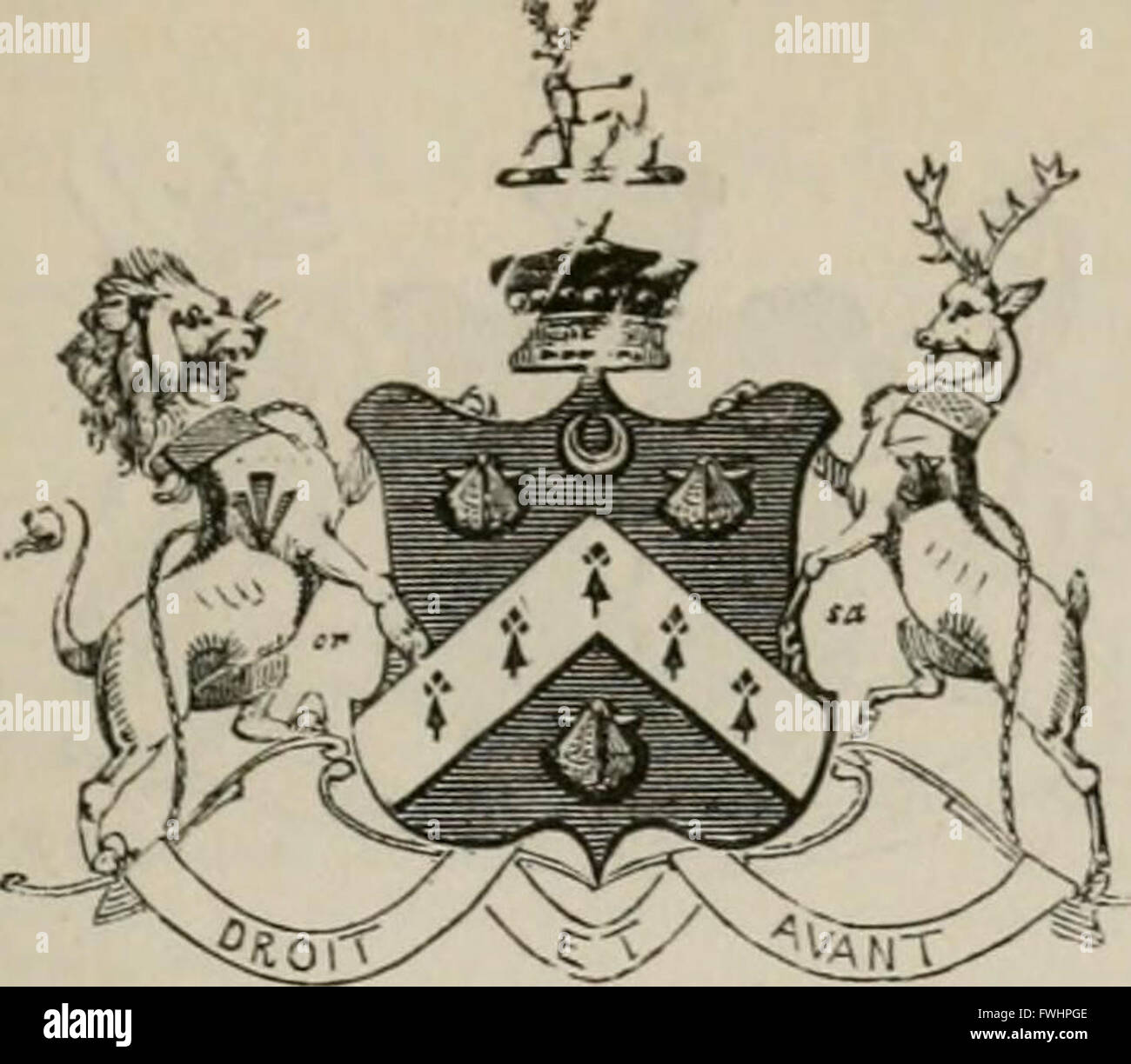 Peerage british empire present existing hi-res stock photography and ...