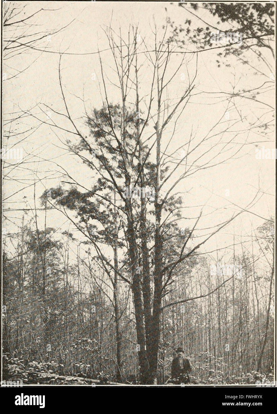 1913 pennsylvania map hi-res stock photography and images - Alamy