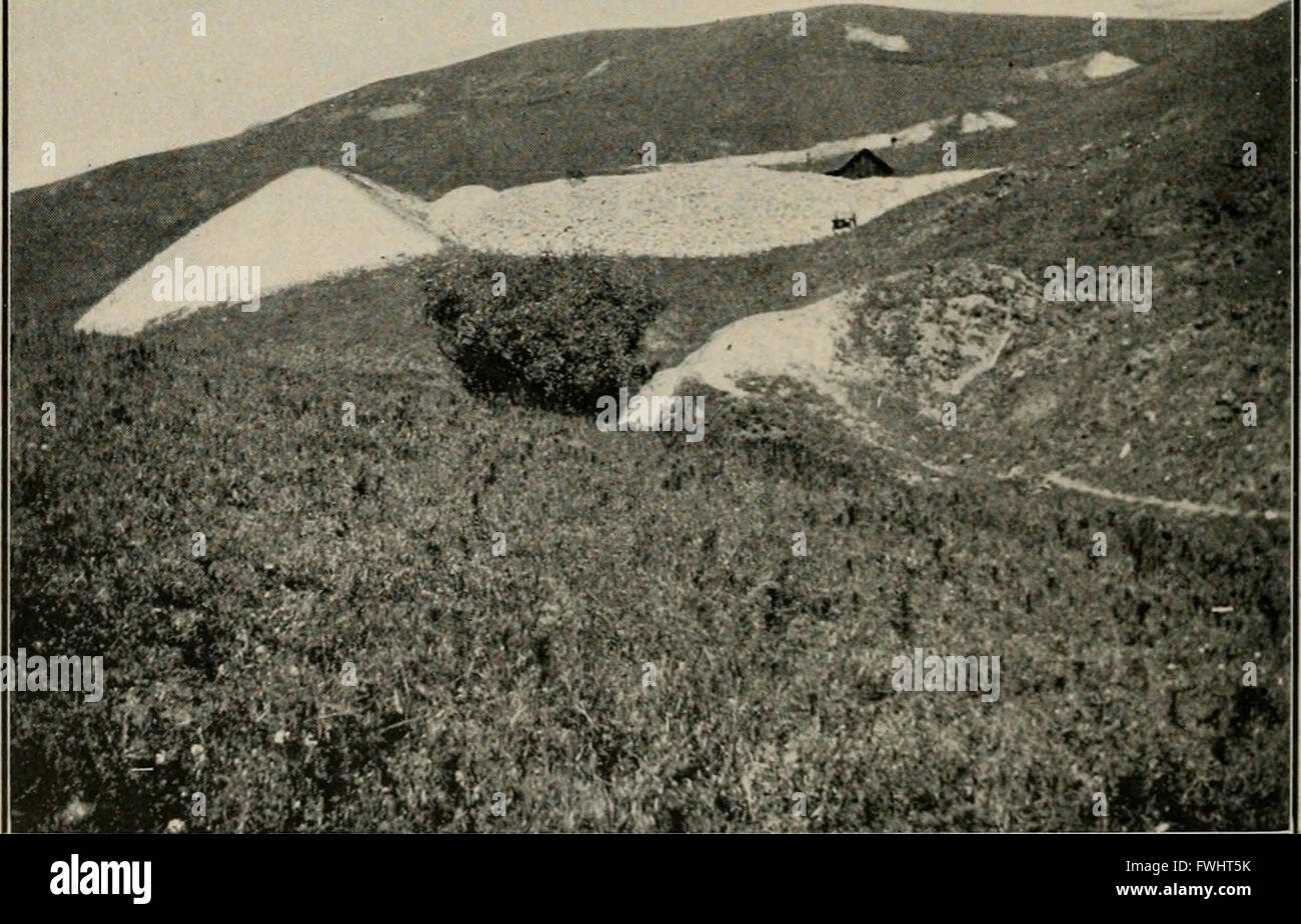 A study on the mercury (quicksilver) deposits in California, detailing ...