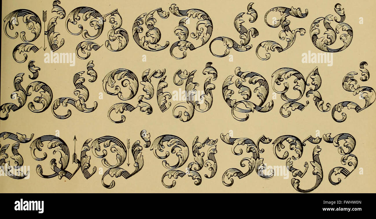 A reference book detailing the development of modern and ornamental ...