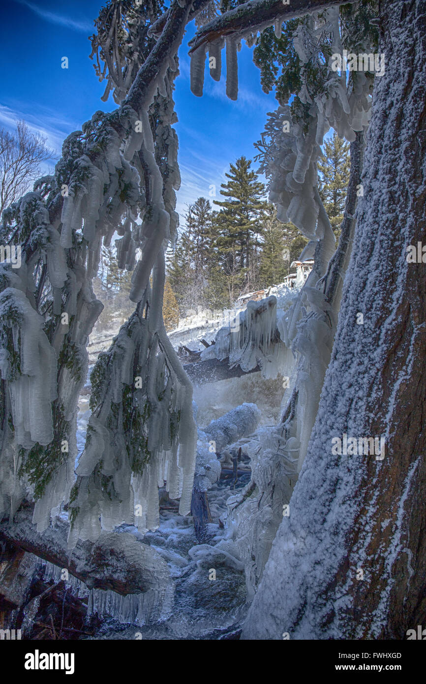 Tree branches with ice coat Stock Photo - Alamy