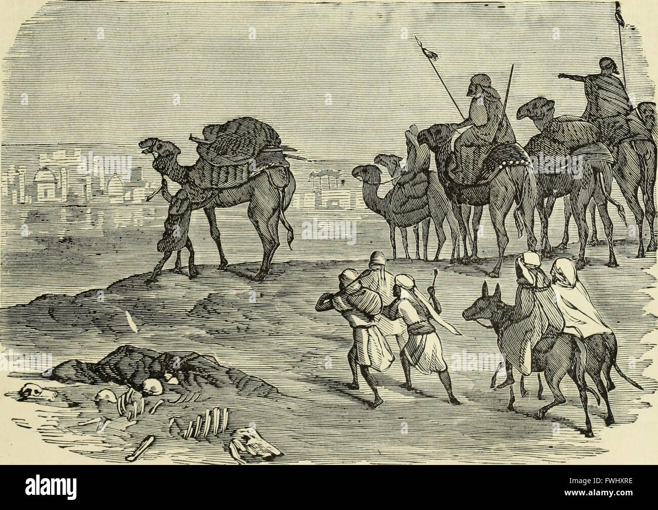 This work offers a detailed account of various human races across the ...