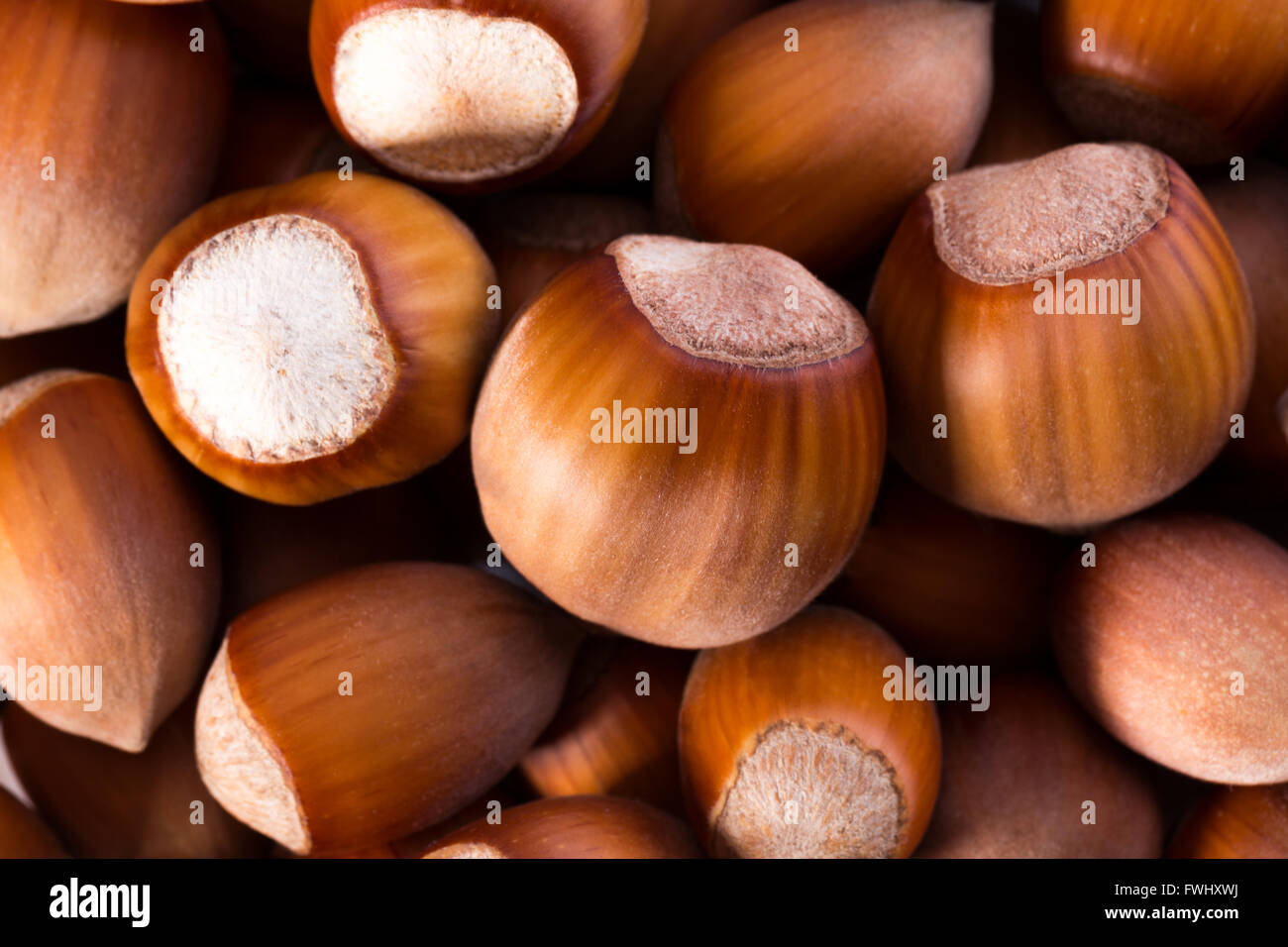 close up of hazelnuts Stock Photo - Alamy