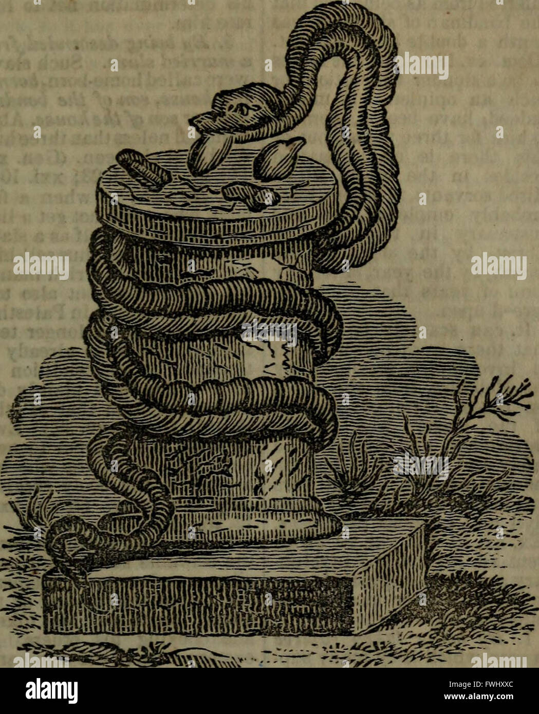 This 1837 edition of The Union Bible Dictionary serves as a reference ...