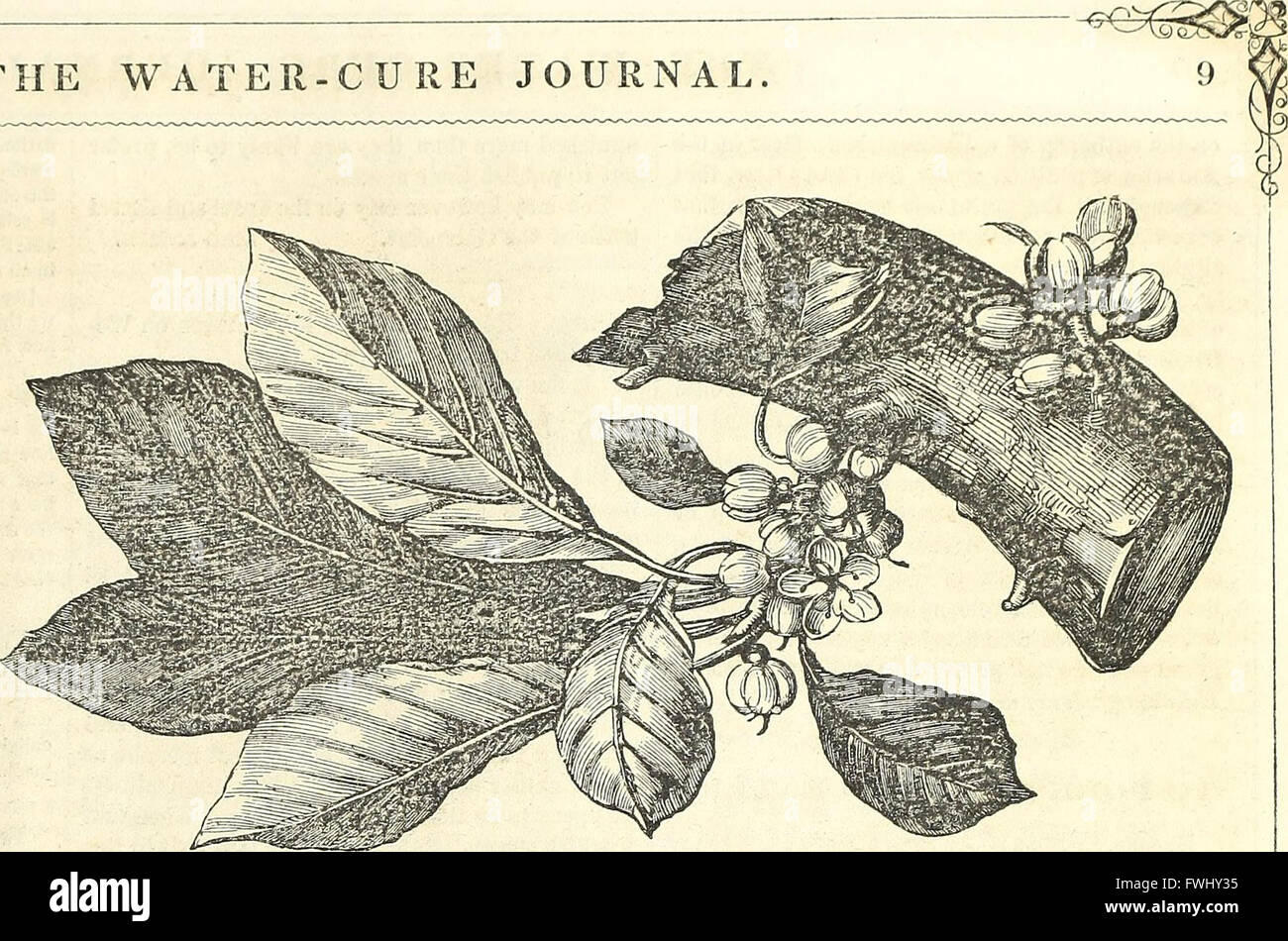 Water cure journal hi-res stock photography and images - Alamy