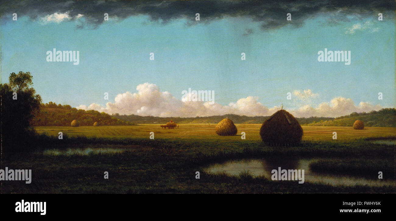 Martin johnson hi-res stock photography and images - Alamy