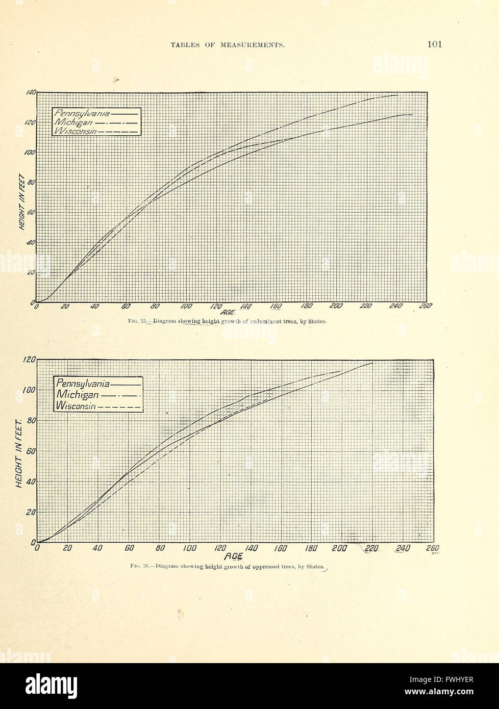 A 1899 study on the white pine (Pinus strobus), detailing its ...
