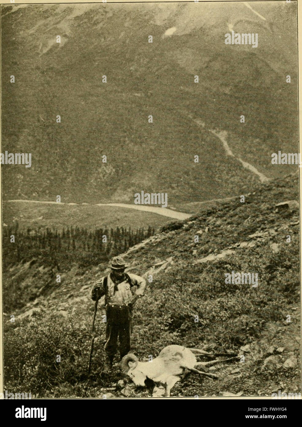 This 1919 account follows a hunter's exploration of the upper Yukon ...