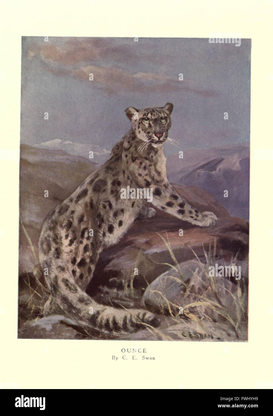 This plate offers a detailed illustration of wild beasts from around ...