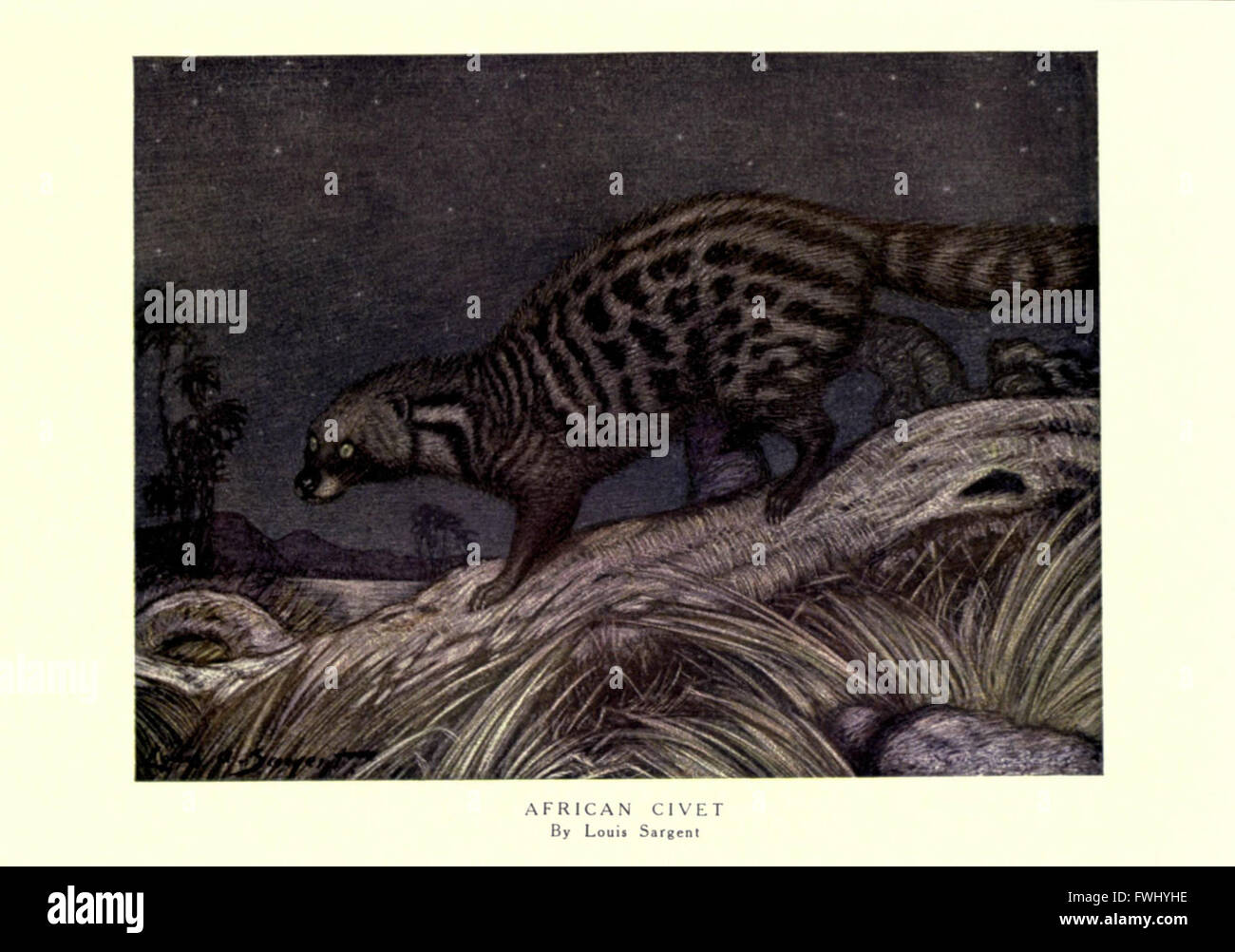 A detailed illustration of wild beasts from around the world ...