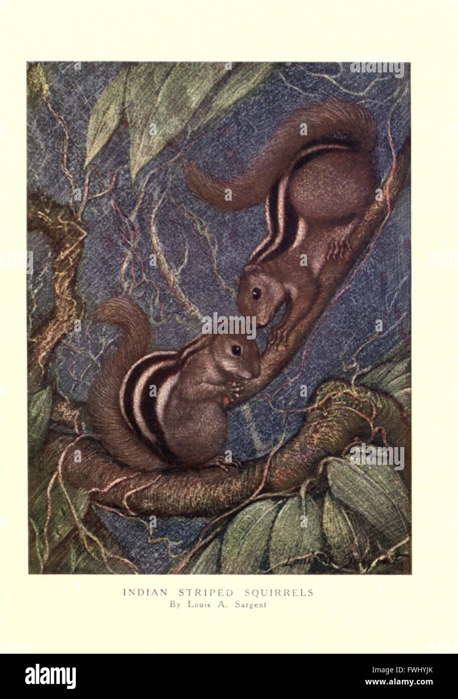 'The Wild Beasts of the World' presents a detailed portrayal of wild ...
