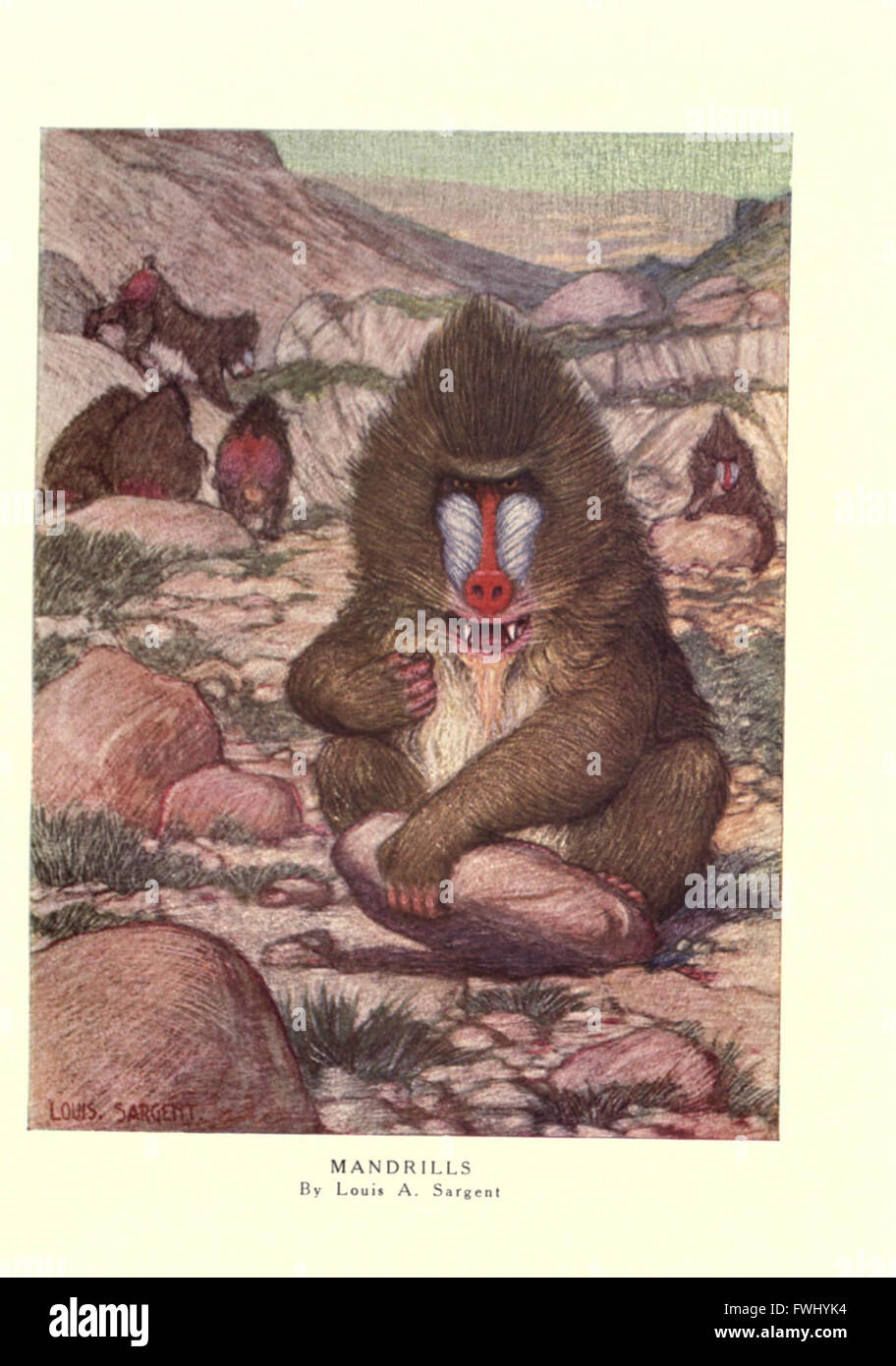 This visual work presents depictions of wild beasts from around the ...