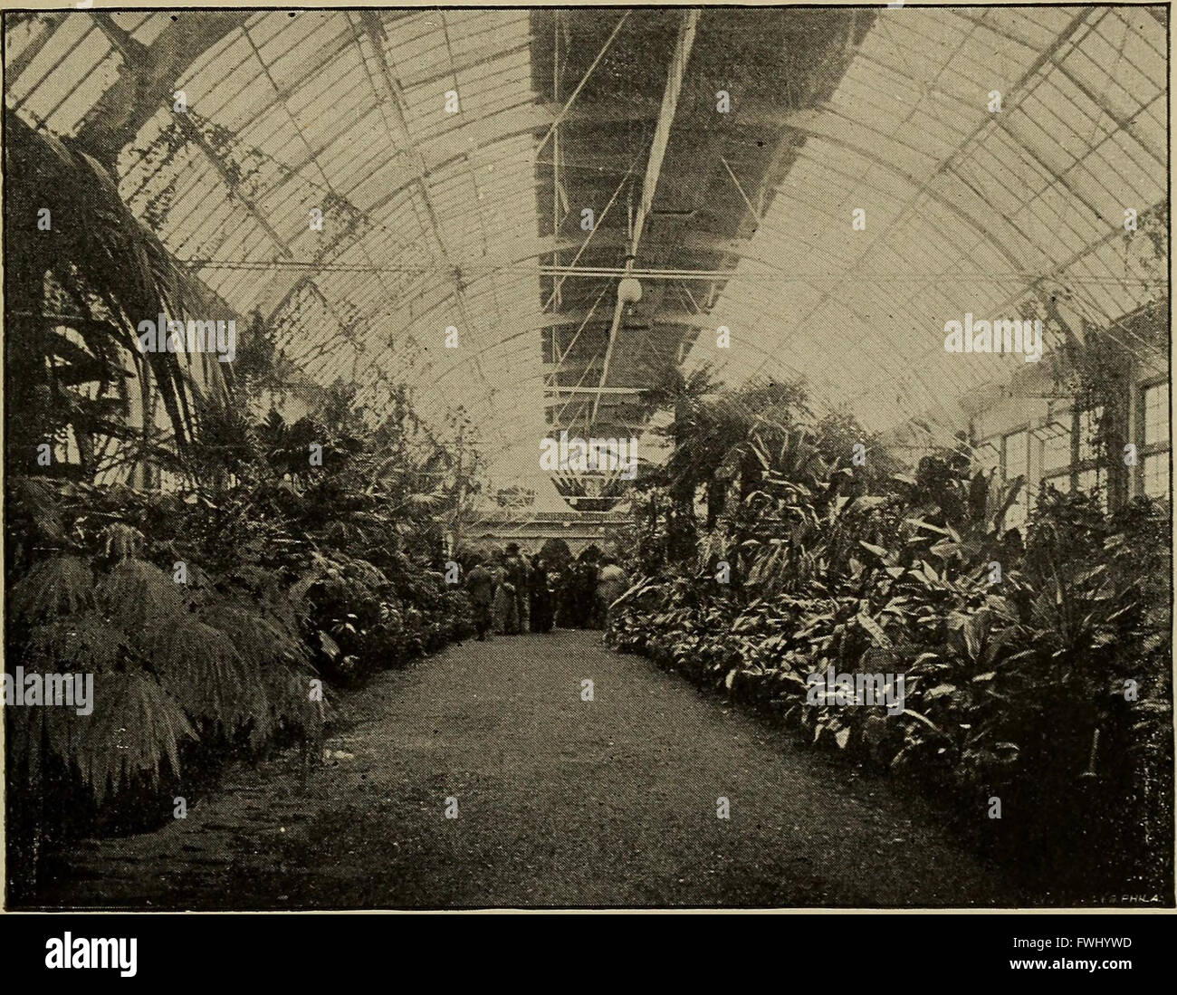 A comprehensive overview of the 1893 World's Columbian Exposition in ...