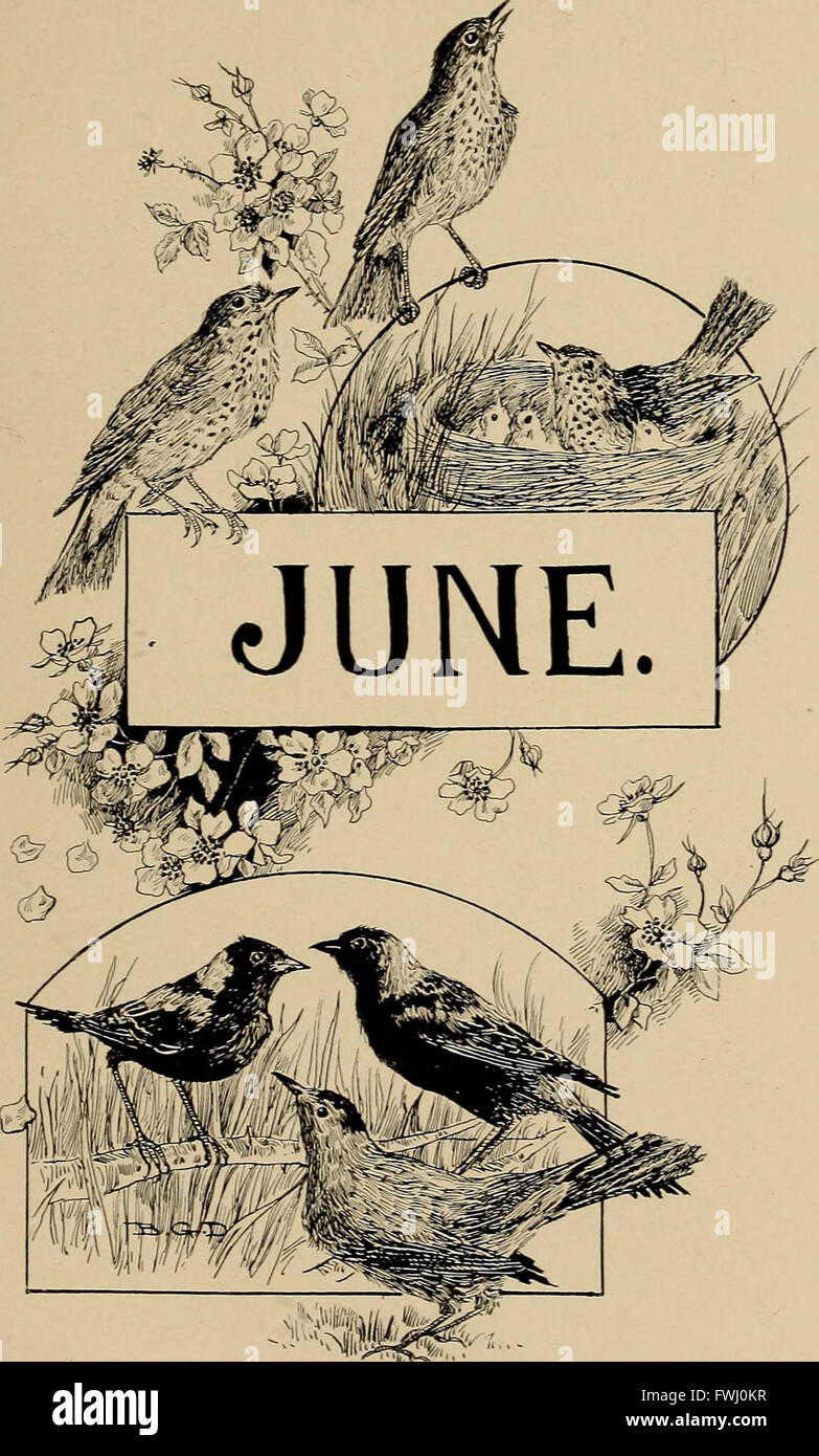 This 1900 book features a collection of poems celebrating birds, their ...