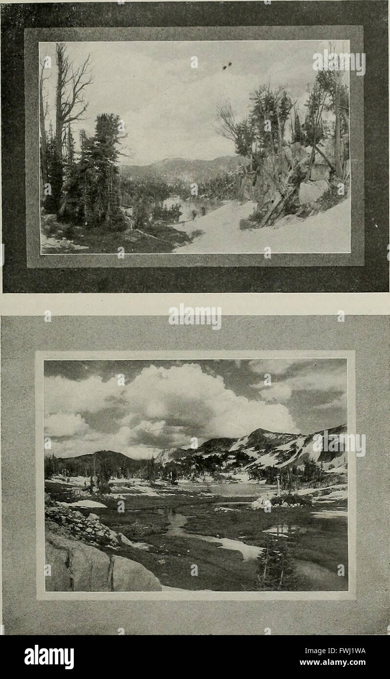 Western field (1905 Stock Photo - Alamy