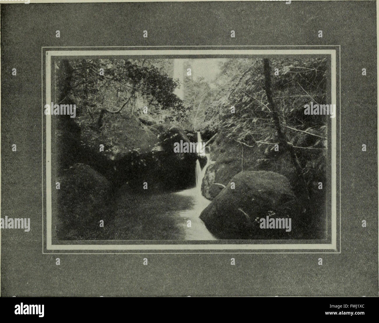 *Western Field* (1905) is a publication focusing on topics related to ...