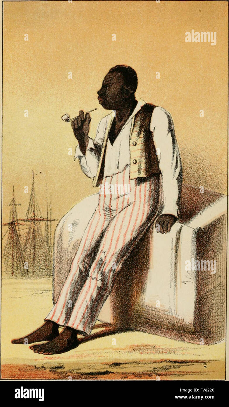 A controversial 19th-century work discussing racial theories and the ...