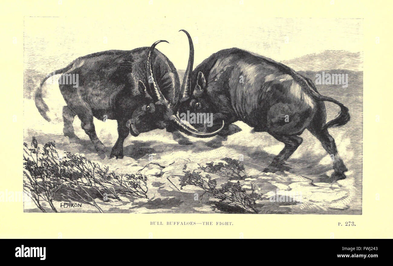 'Wild Beasts and Their Ways' (Plate 16) features artistic and ...