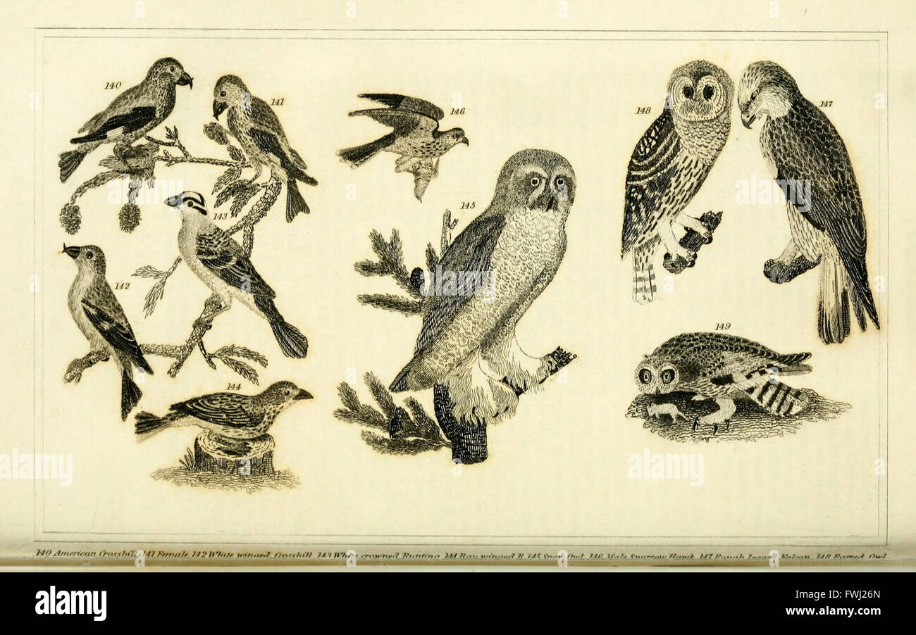 This collection features illustrations and descriptions from Alexander ...