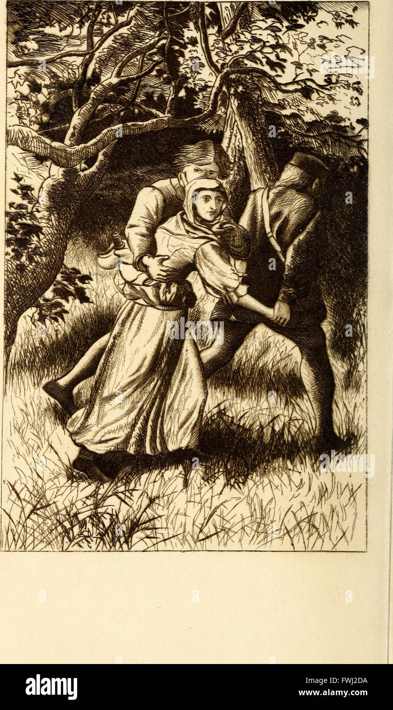 A collection of literary works published in 1895, encompassing a ...
