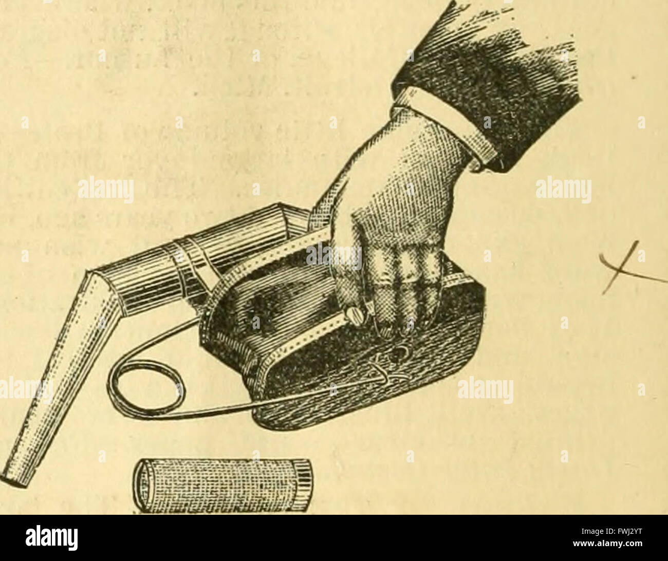 The American Bee Journal (1877) is a comprehensive publication focused ...